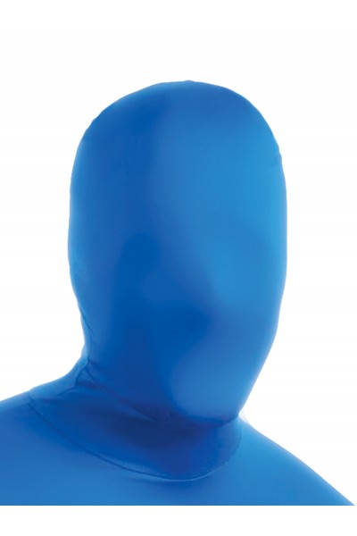 Blue 2nd Skin Face Mask for Adult - Accessory | Costume City