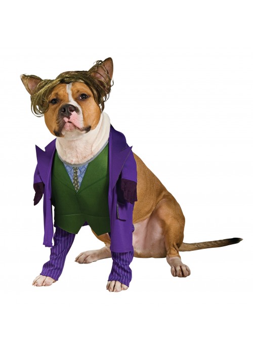 Joker DC Comics Pet Costume | Villain Outfit for Pets