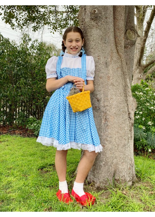 Toto Wizard of Oz Basket Accessory | Costume Add-On